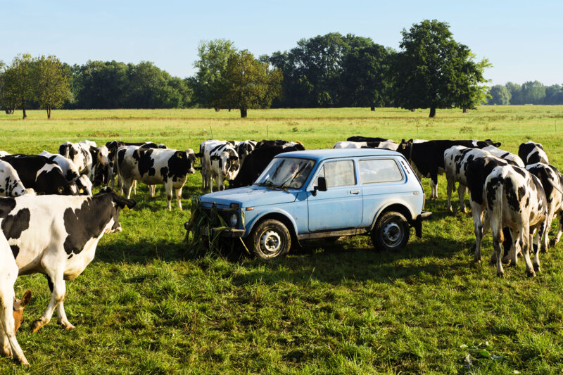 Tschick - Film | nordagenda.ch