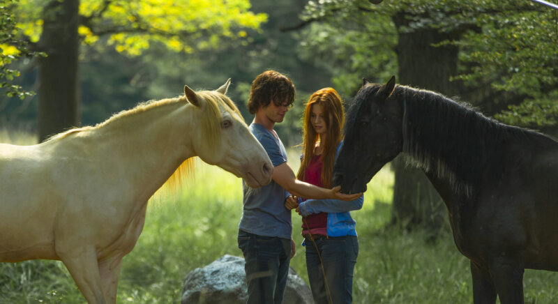 Ostwind 2 - Film | nordagenda.ch